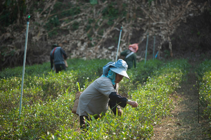 เจาะกลยุทธ์ 3Re “บ้านปู” ช่วย “ผู้ประกอบการ SE รุ่นใหม่” โตต่อได้ ...