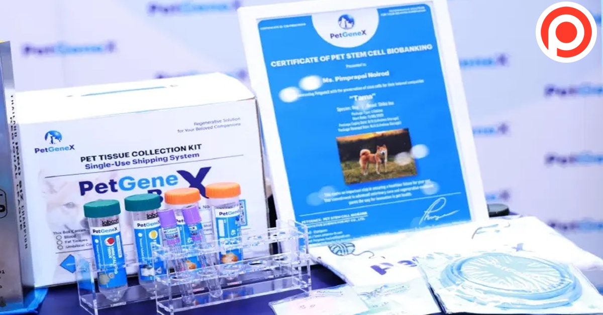 PetGeneX ธนาคารสเต็มเซลล์สำหรับสัตว์เลี้ยง นวัตกรรมที่อยากให้ ‘สัตว์เลี้ยง’ มีอายุยืนขึ้น ...